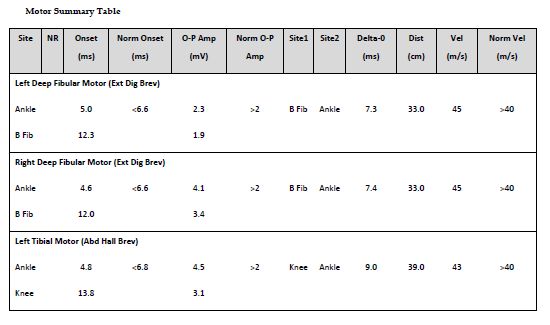 S1 Radiculopathy in a Young Adult: A Conjoined/Bifid Nerve Root ...