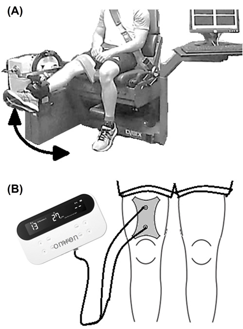 Assessment of Transcutaneous Electrical Nerve Stimulation Efficacy in ...